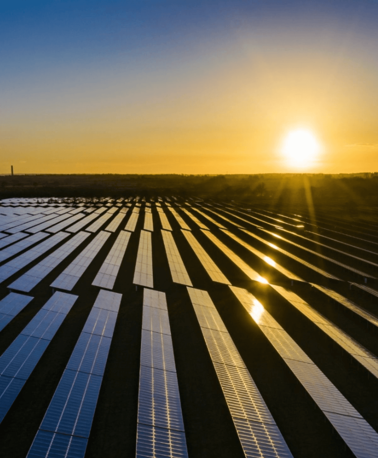 Soluxe Energie: Solar Energy Solutions